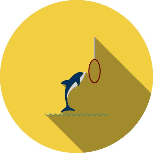 Jump dolphin icon Royalty Free Vector Image - VectorStock