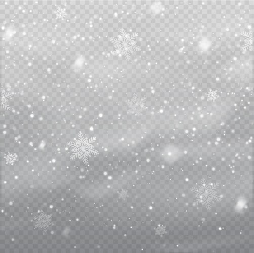 Realistic falling snow on transparent background Vector Image