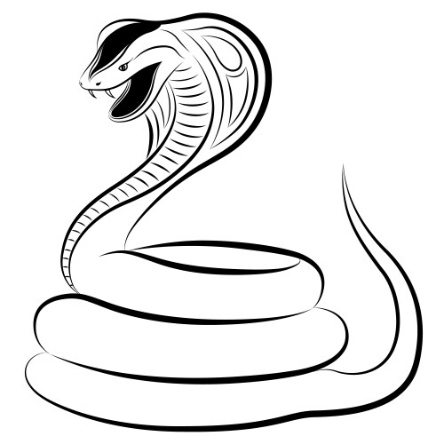 Snake Vector Images (over 69,000)