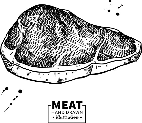 Lamb rib drawing red meat hand drawn Royalty Free Vector
