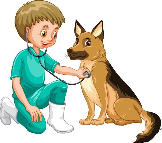 Vet checking up dog with stethoscope Royalty Free Vector