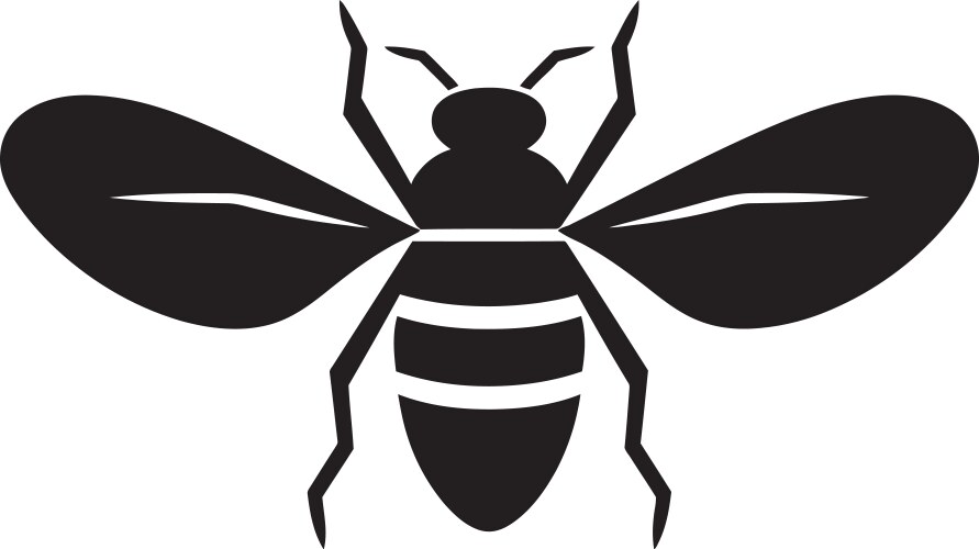 Tarantula hawk majesty in black insect hunters Vector Image