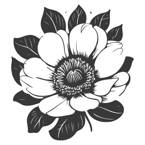 Tumpal flower pattern outline sketch Royalty Free Vector