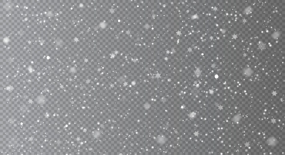 Realistic falling snow overlay effect Royalty Free Vector