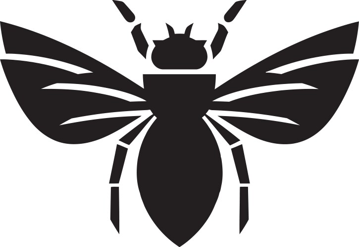 Tarantula Vector Images (over 6,000)