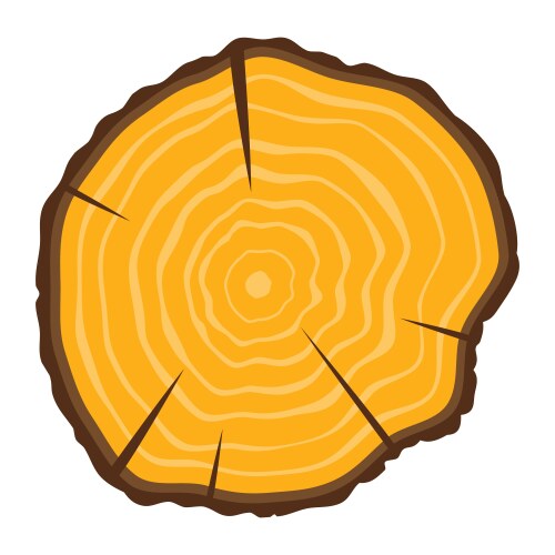 Tree trunk rings design isolated on white Vector Image