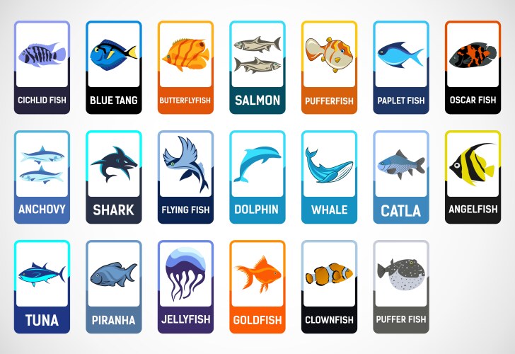 Alphabet flashcards for kids educational Vector Image
