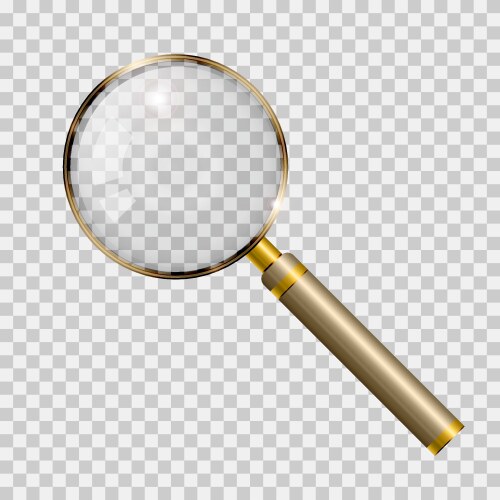 Hand holding magnifying glass on transparent Vector Image