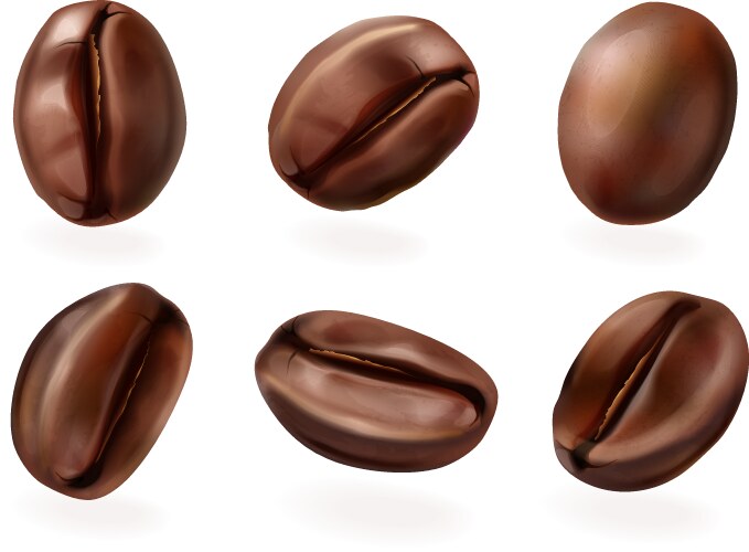 Coffee Beans Vector Images (over 86,000)