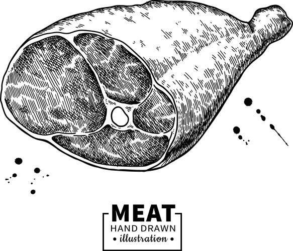 Lamb rib drawing red meat hand drawn Royalty Free Vector