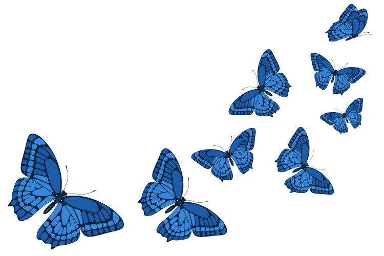 Butterflies Butterfly Blue Vector Images (over 24,000)