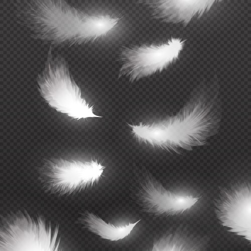 Feathers falling down on pile realistic Royalty Free Vector
