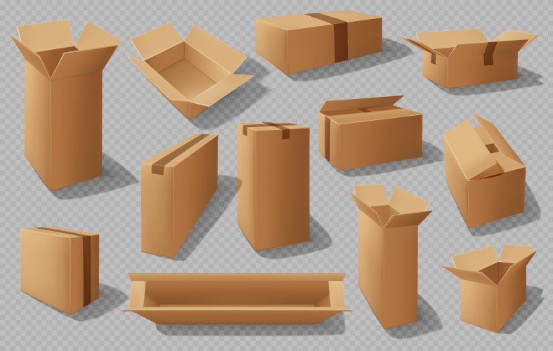 Coffins burial boxes different types tomb cases Vector Image