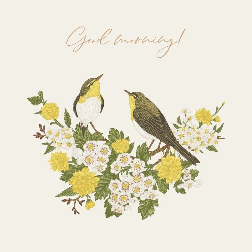 Collection of cute birds watercolor painting Vector Image