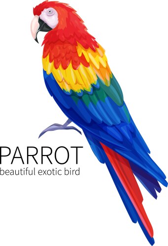 Parrot Vector Images (over 35,000)