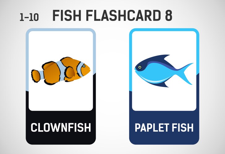 Alphabet flashcards for kids educational Vector Image