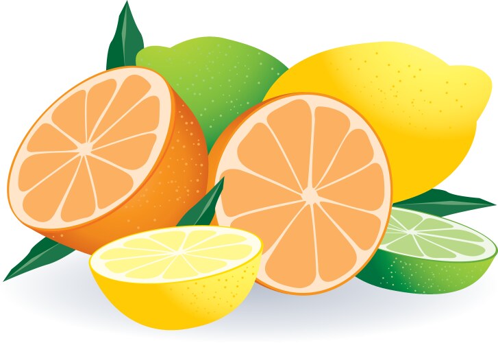 Citrus Vector Images (over 99,000)