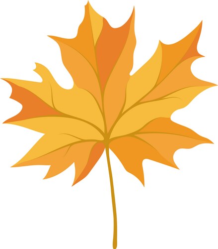 Red maple leaf cartoon Royalty Free Vector Image