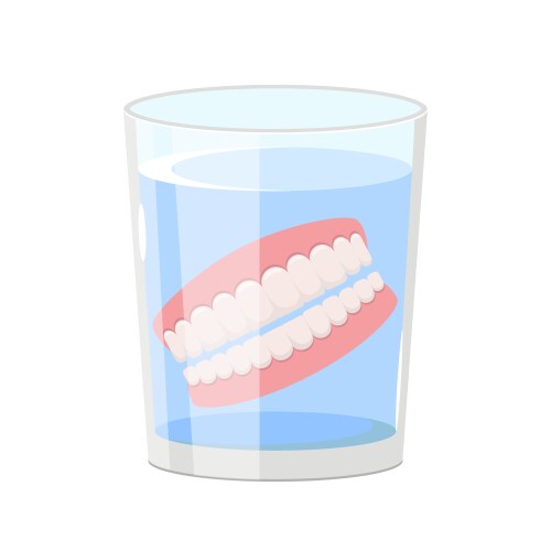 Grandparent clean dentures cartoon Royalty Free Vector Image
