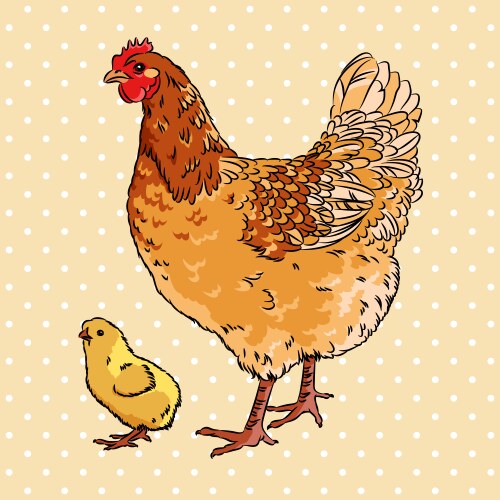 Chick Vector Images (over 39,000)