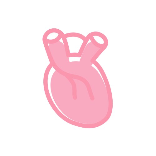 Vital organ human heart Royalty Free Vector Image