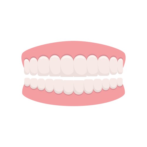 Grandparent clean dentures cartoon Royalty Free Vector Image