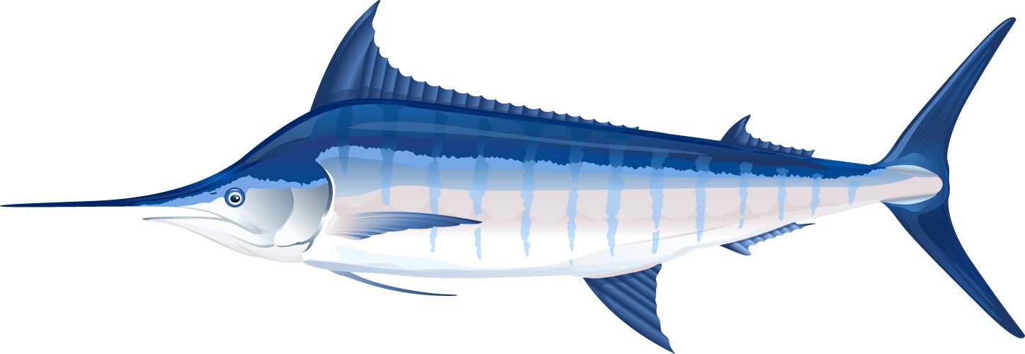 Blue Marlin Vector Images (over 1,800)