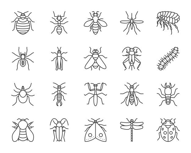 Insect Outlines Vector Images (over 55,000)