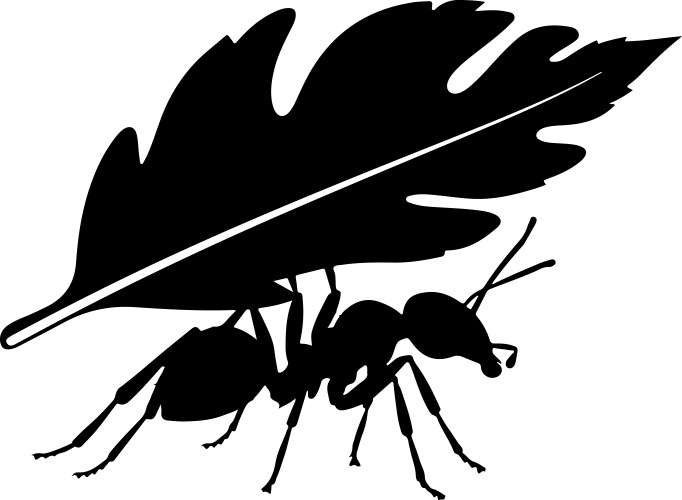 Ant Vector Images (over 18,000)