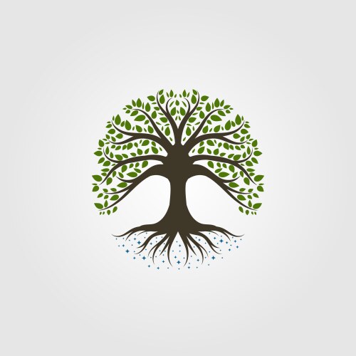 Family tree Royalty Free Vector Image - VectorStock