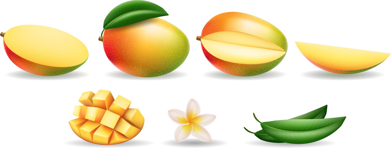 Mango Vector Images (over 22,000)