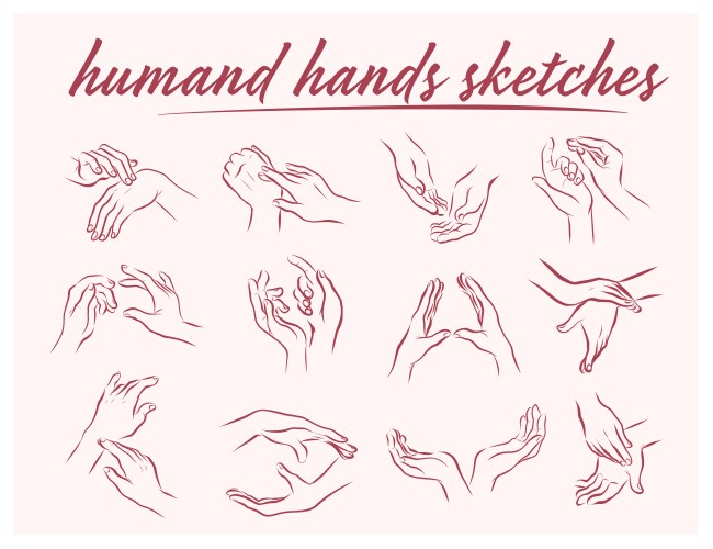 Hands line art Royalty Free Vector Image - VectorStock