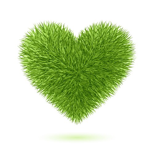 Heart on green grass Royalty Free Vector Image