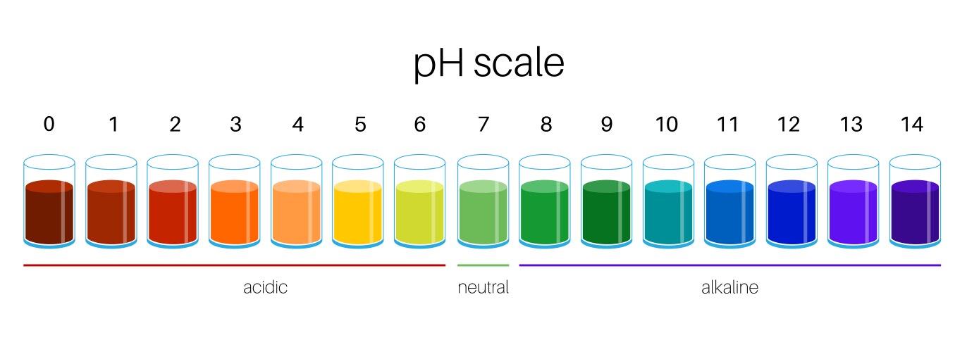 PH Scale Chart - Acid Base Measurement Royalty Free Vector