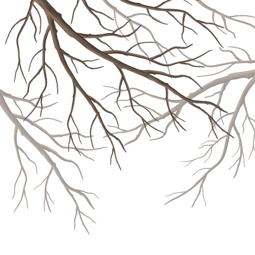 Branches Vector Images (over 680,000)