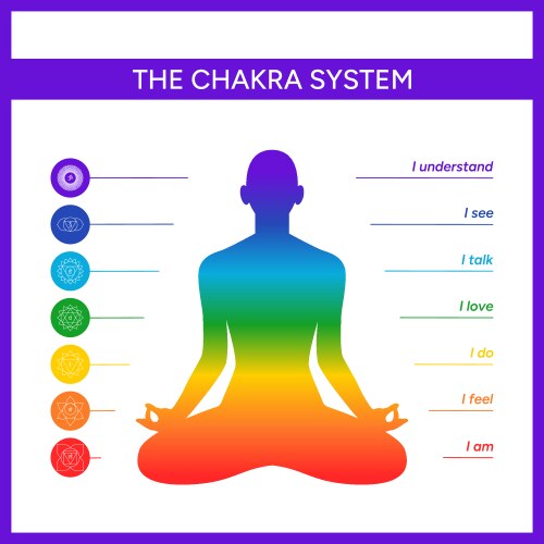 Chakras infographic names titles line art Vector Image