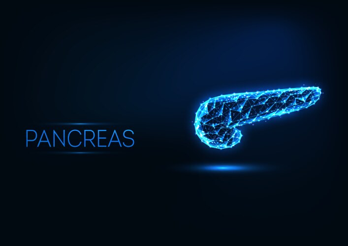 Pancreas Vector Images (over 6,400)