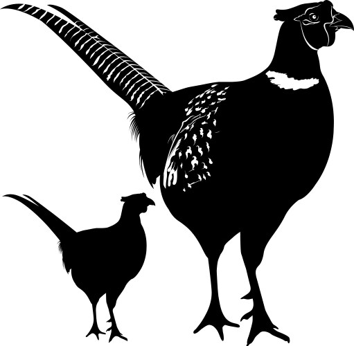 Pheasant hunting template Royalty Free Vector Image