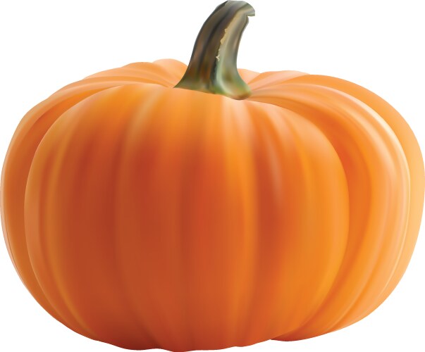 Pumpkin Vector Images (over 240,000)
