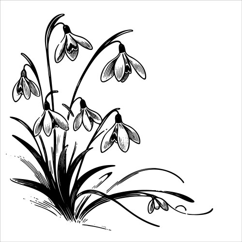 January Birth Flower Vector Images (81)