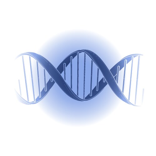 Graphic dna structure Royalty Free Vector Image