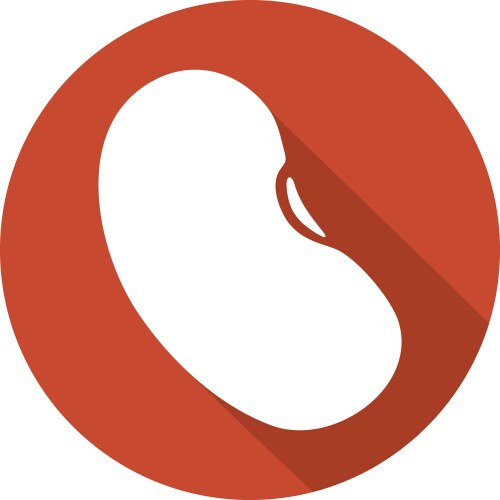 Red Bean Seed Vector Images (over 4,000)