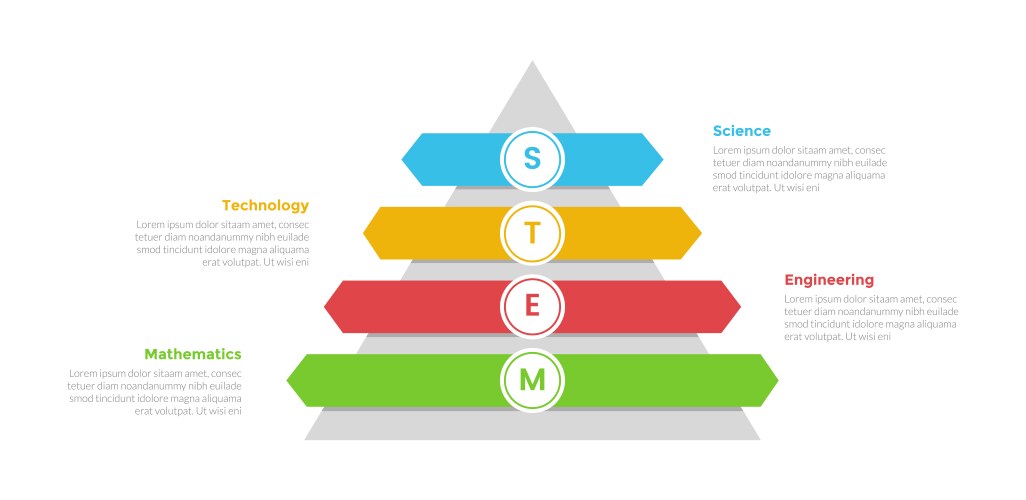 Stem education infographics template diagram Vector Image