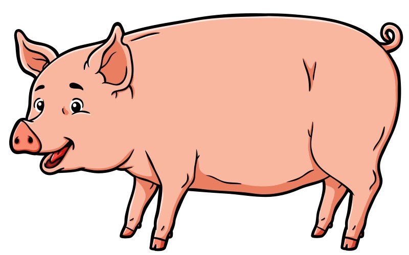 Pig cartoon Royalty Free Vector Image - VectorStock
