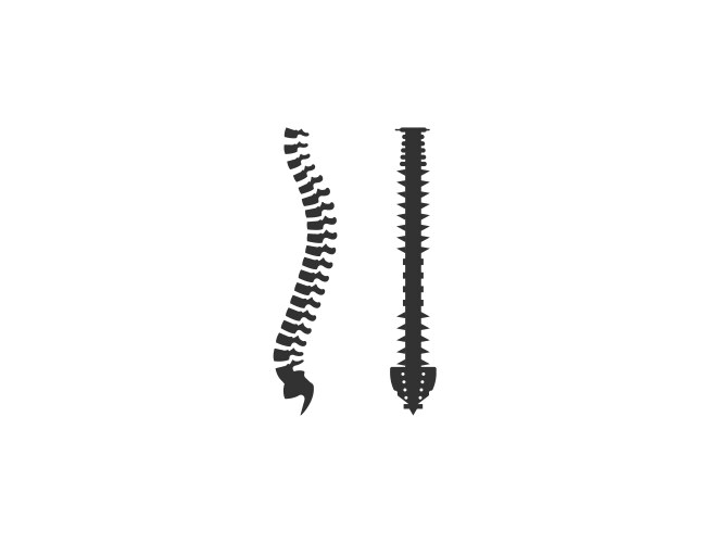 Human spine anatomy backbone icon Royalty Free Vector Image