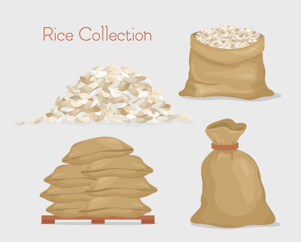 White rice in small burlap sack Royalty Free Vector Image