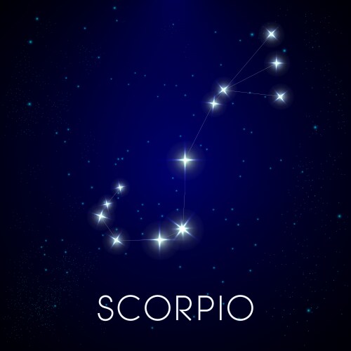 Scorpio constellation zodiac Royalty Free Vector Image