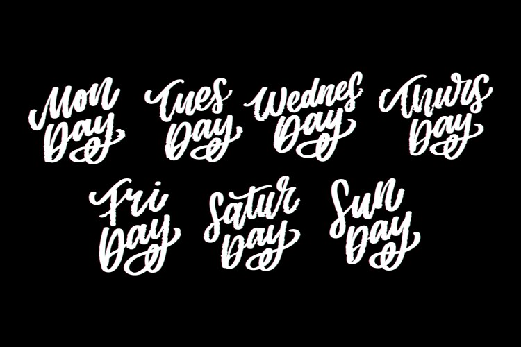 Handwritten week days and symbols set ink font Vector Image