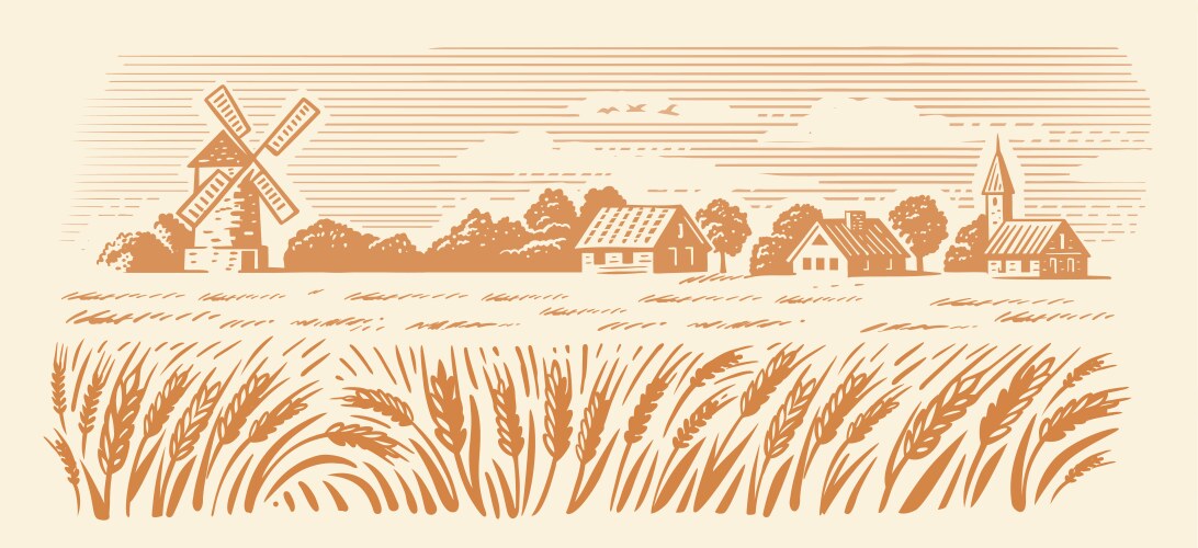 Field of wheat hops nature background Royalty Free Vector