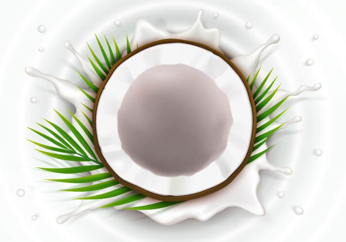 Coconut detailed icon Royalty Free Vector Image
